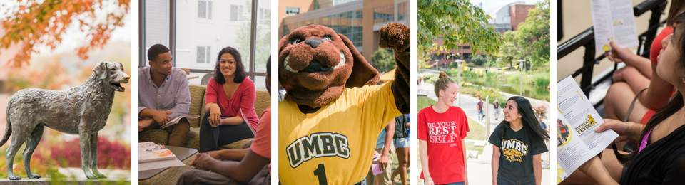 Incoming Freshmen - Scholarships - UMBC